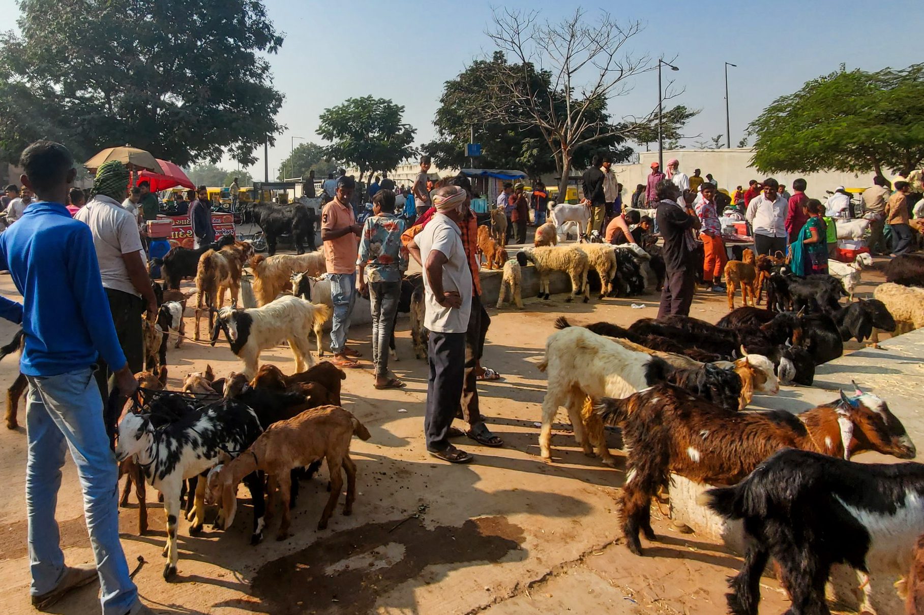 CASE STUDY: GUJARI BAZAAR - Visual Culture